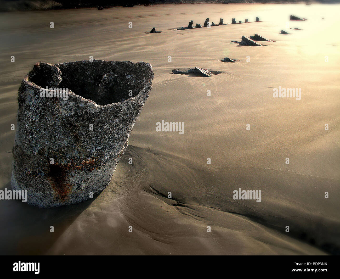 Jody miller hi-res stock photography and images - Alamy