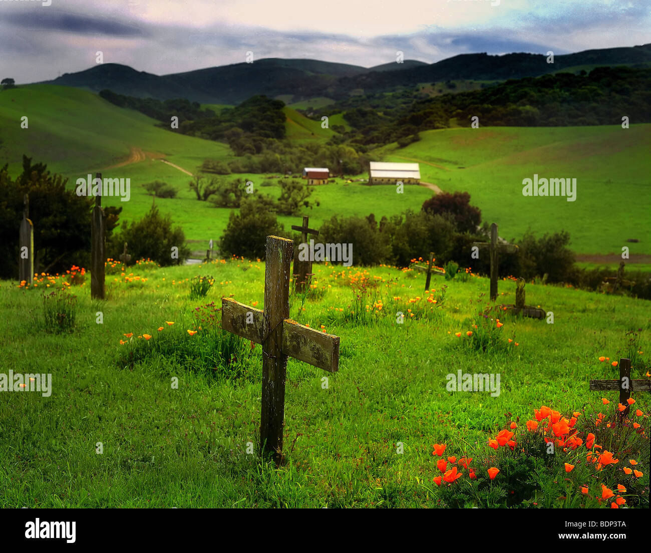 A memorial cross in a graveyard with rolling green fields Stock Photo ...