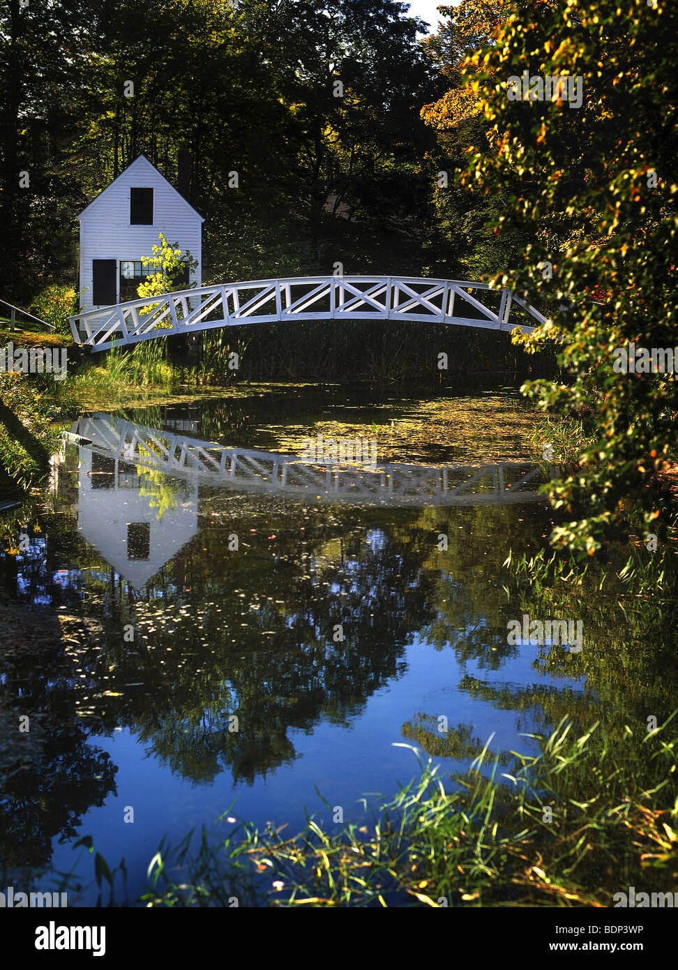 Timber pond hi-res stock photography and images - Alamy