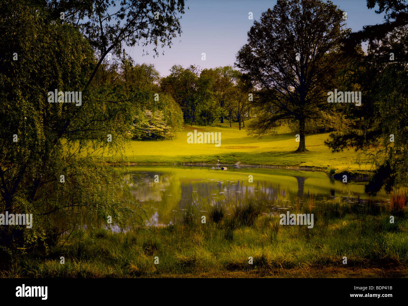 A peaceful rural scene with trees lake, green grass and blue sky Stock ...