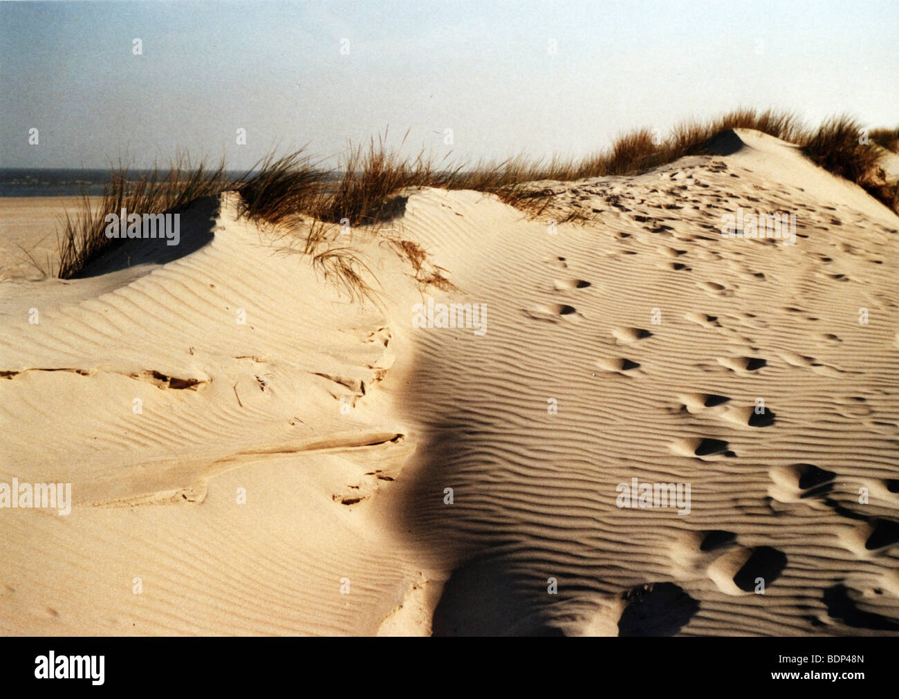Foot ocean ripple sand hi-res stock photography and images - Alamy