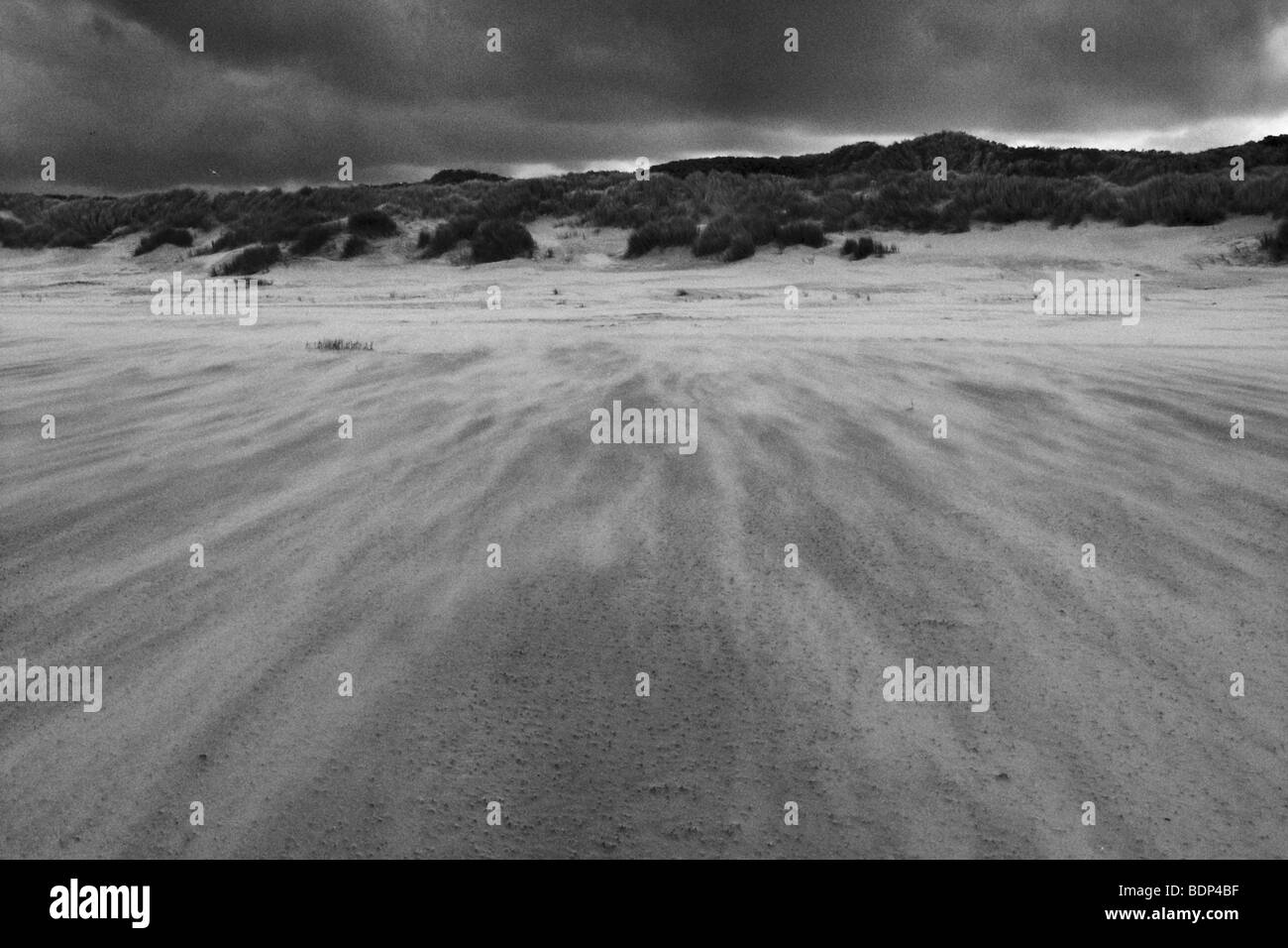 Wind blown sand on a beach Stock Photo - Alamy