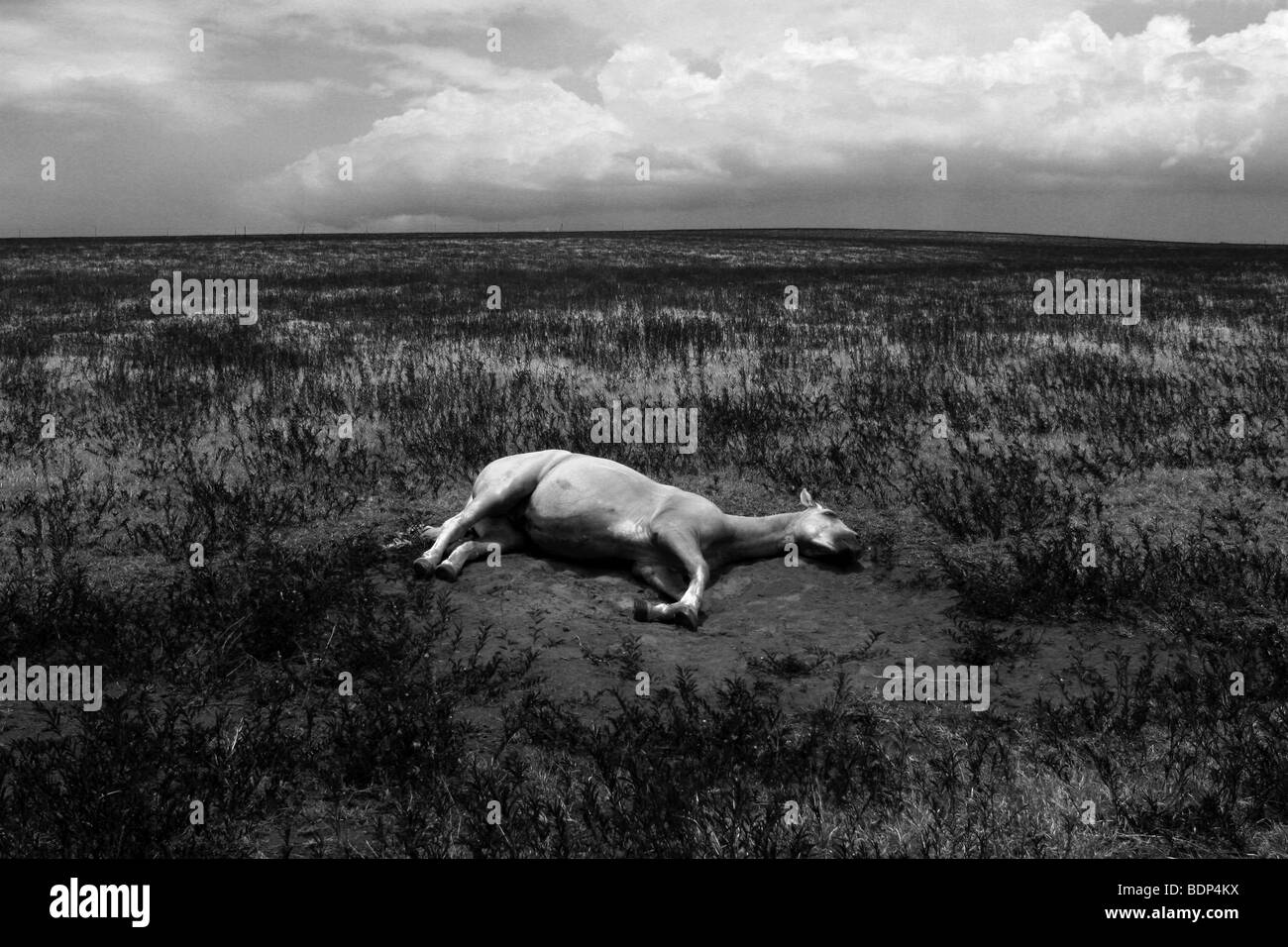 Plain ground Black and White Stock Photos & Images - Alamy