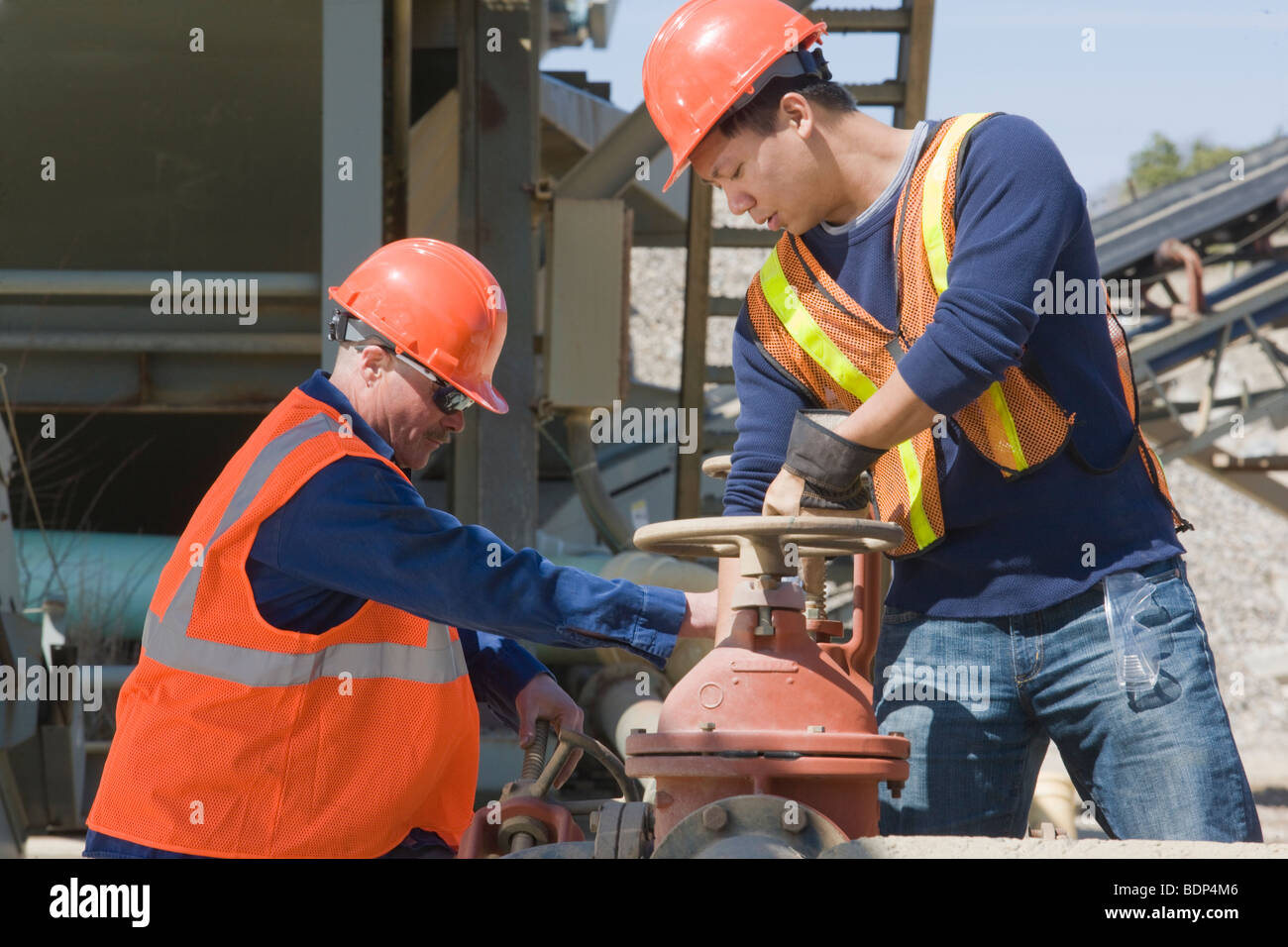 Two engineers working at a plant Stock Photo - Alamy