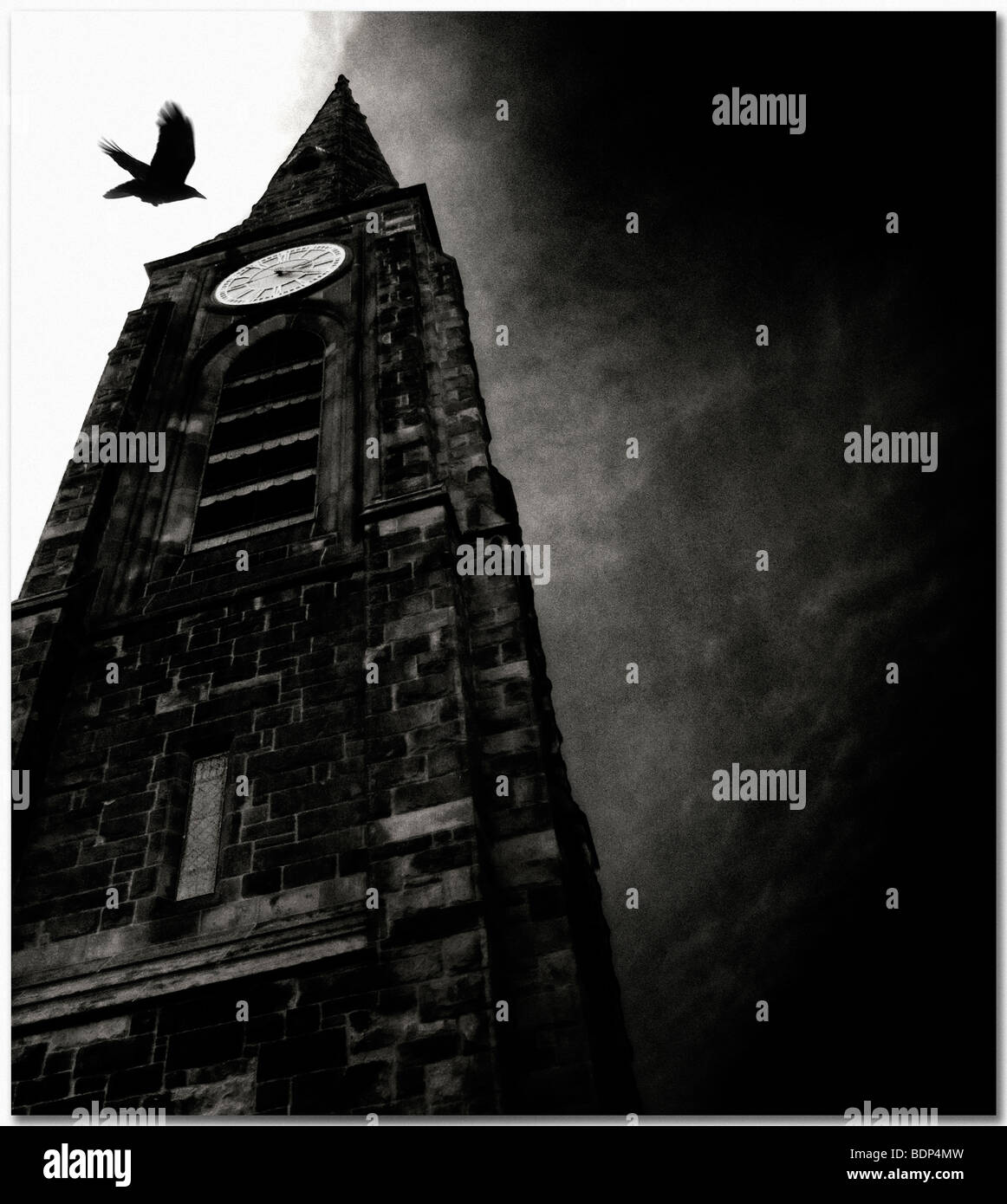 A bird flying by a bell tower Stock Photo - Alamy