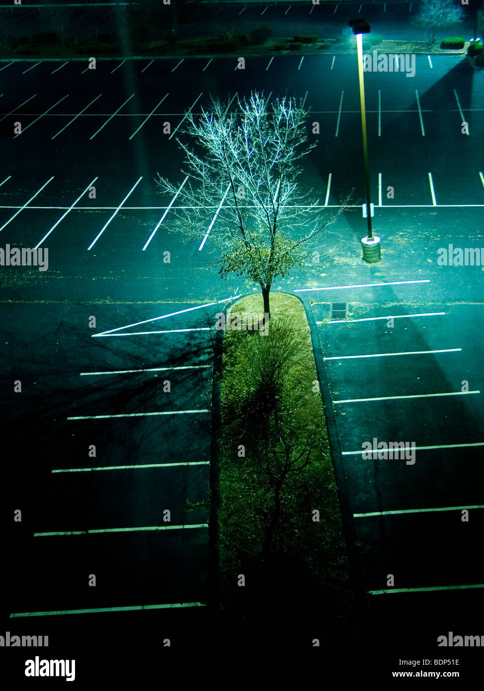 A carpark at night with a tree and street lamp Stock Photo - Alamy