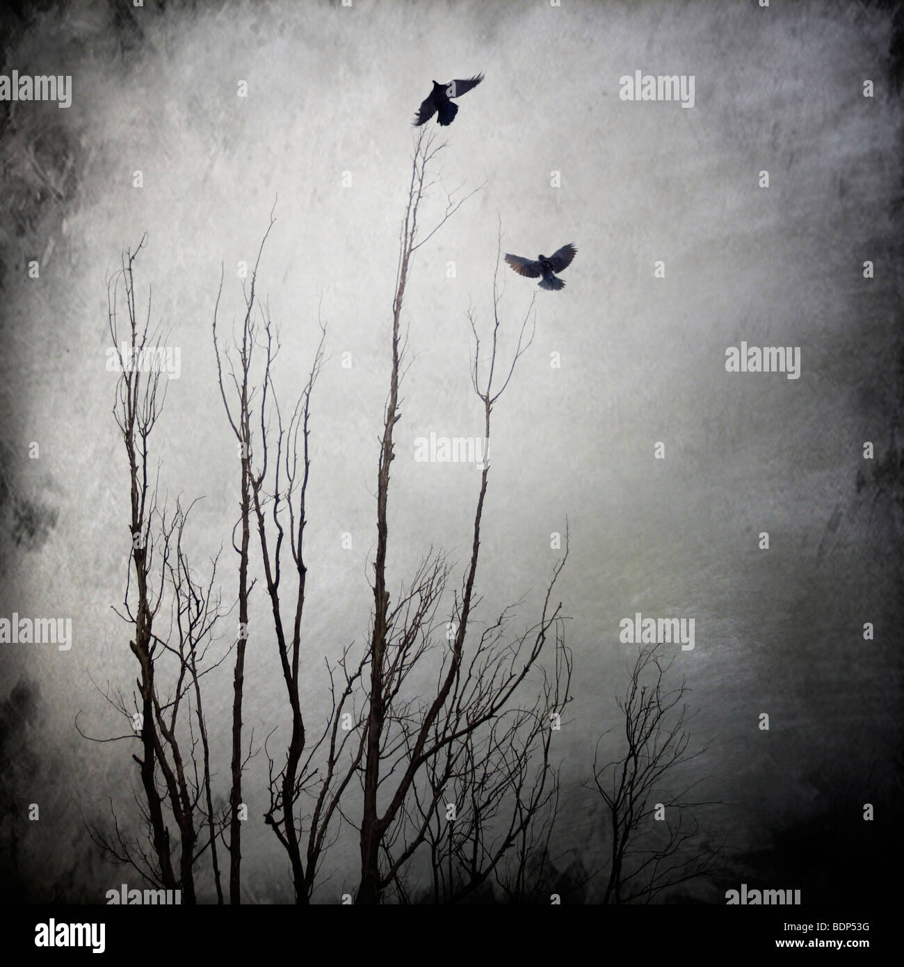 Bird flying by the tree hi-res stock photography and images - Alamy