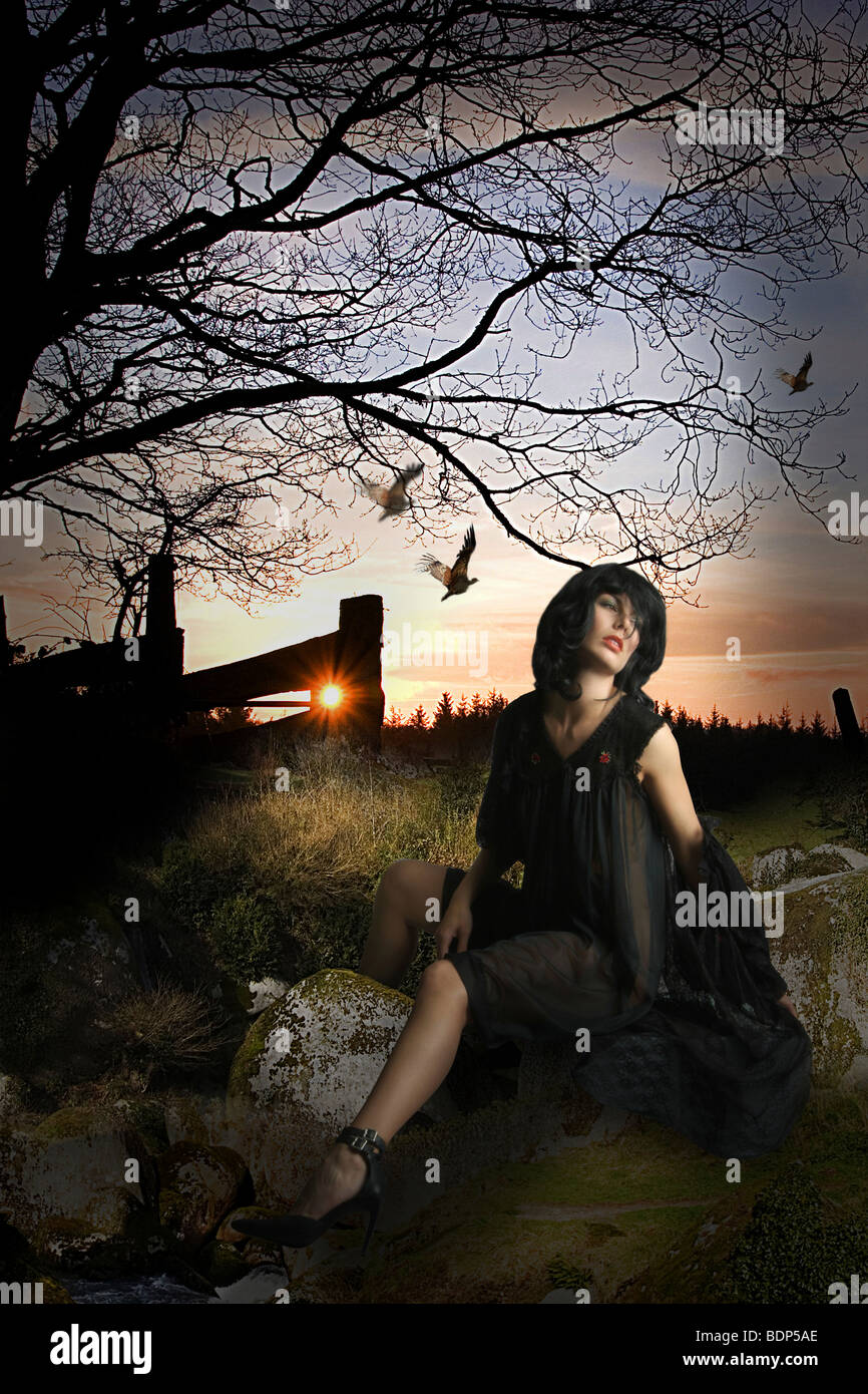 Female sitting alone in a field with birds flying at sunset Stock Photo ...