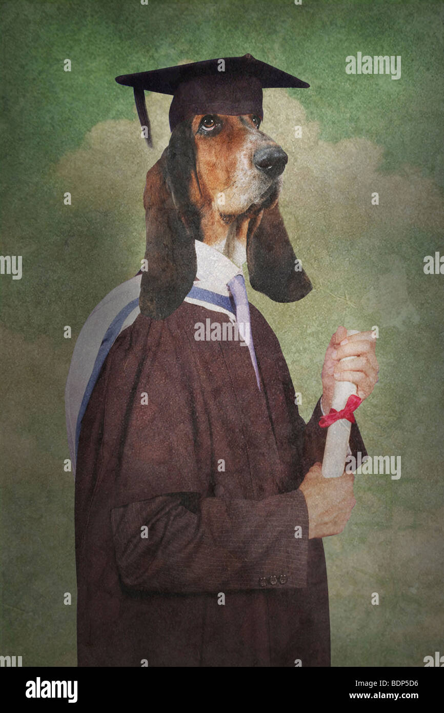 fantasy graduation scene where the student has the head of a dog Stock ...