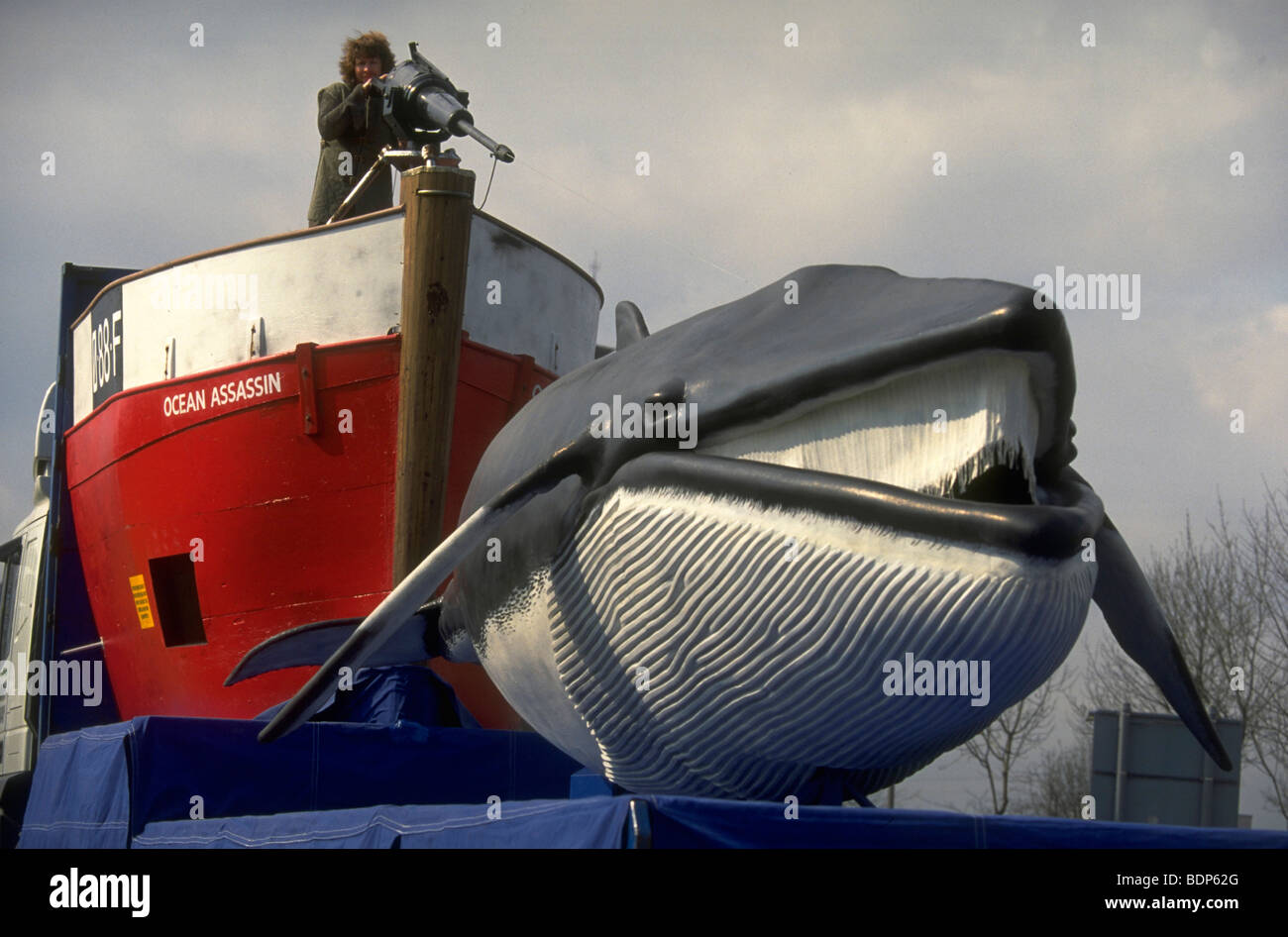 Molly Minke, life-size whale to tour UK in run up to 1995 IWC, to ...