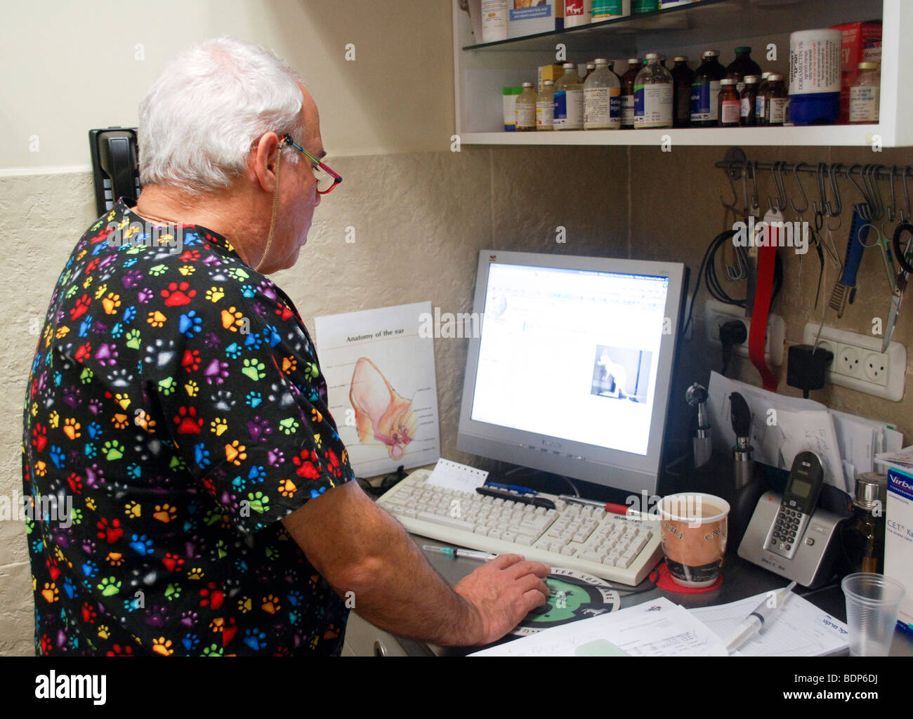 Veterinary Office Stock Photos & Veterinary Office Stock Images - Alamy