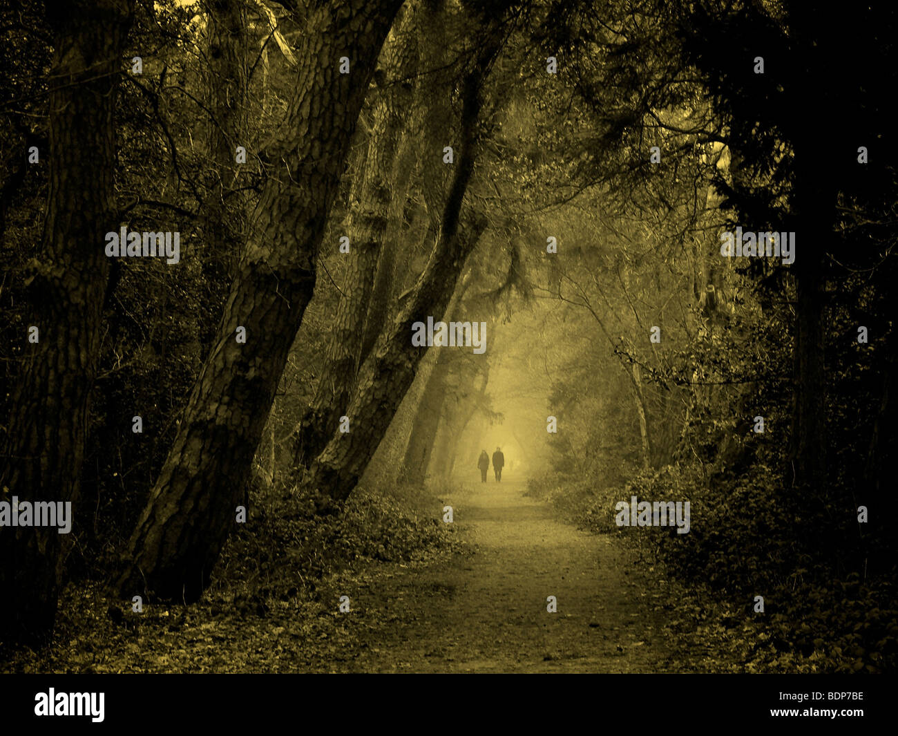 A couple walking together through woods on a long path Stock Photo ...