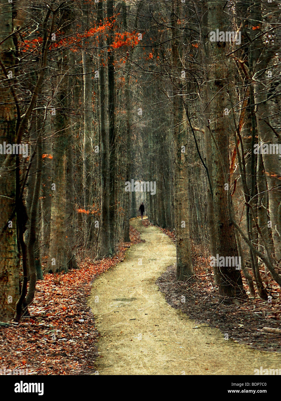 someone walkng a path Stock Photo - Alamy