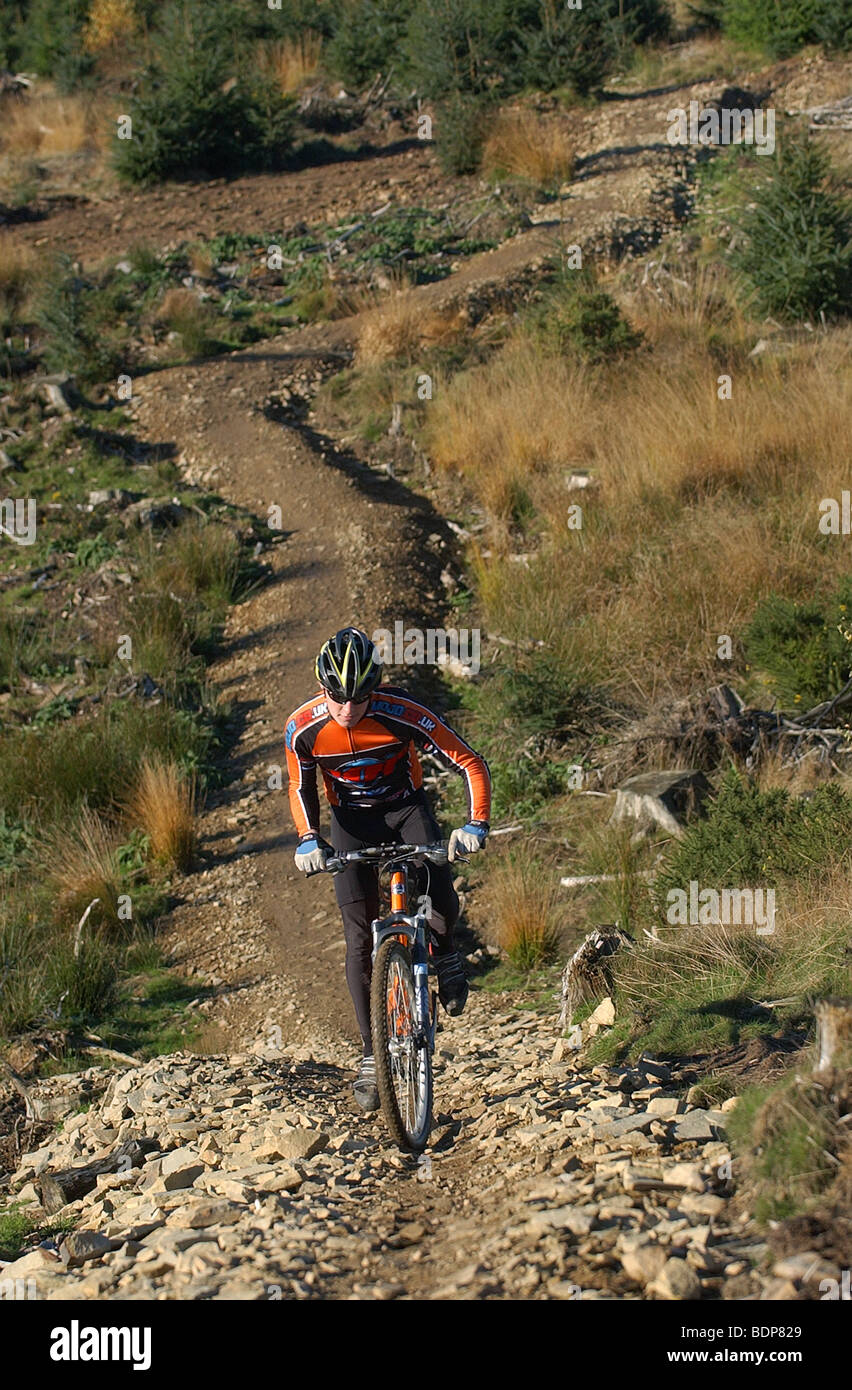 Cwmcarn bike trail hi-res stock photography and images - Alamy