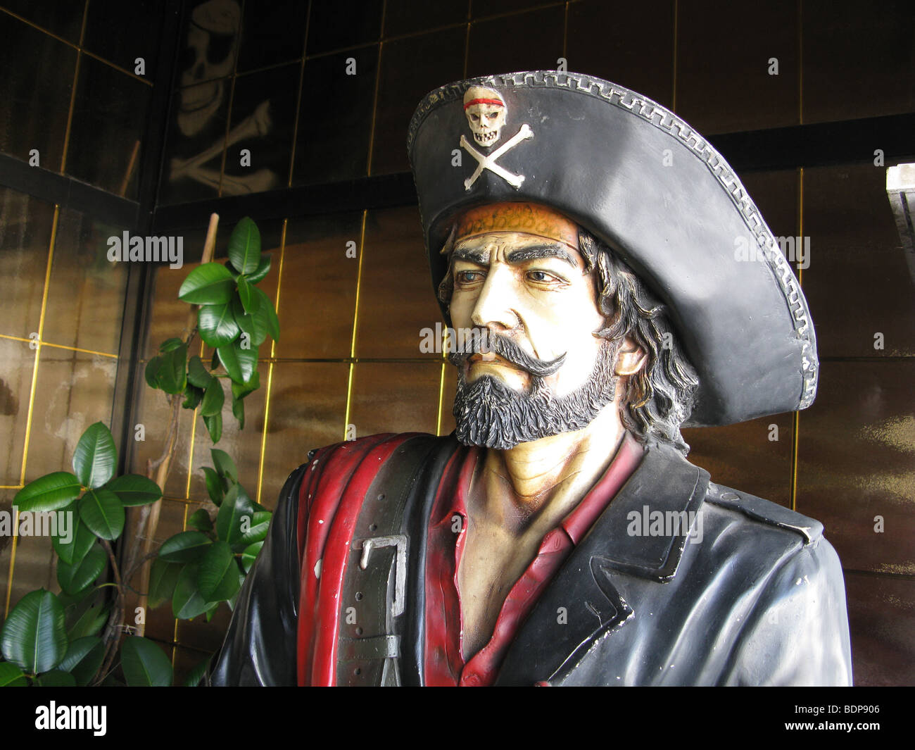 pirate captain model outdoors in sun Stock Photo - Alamy