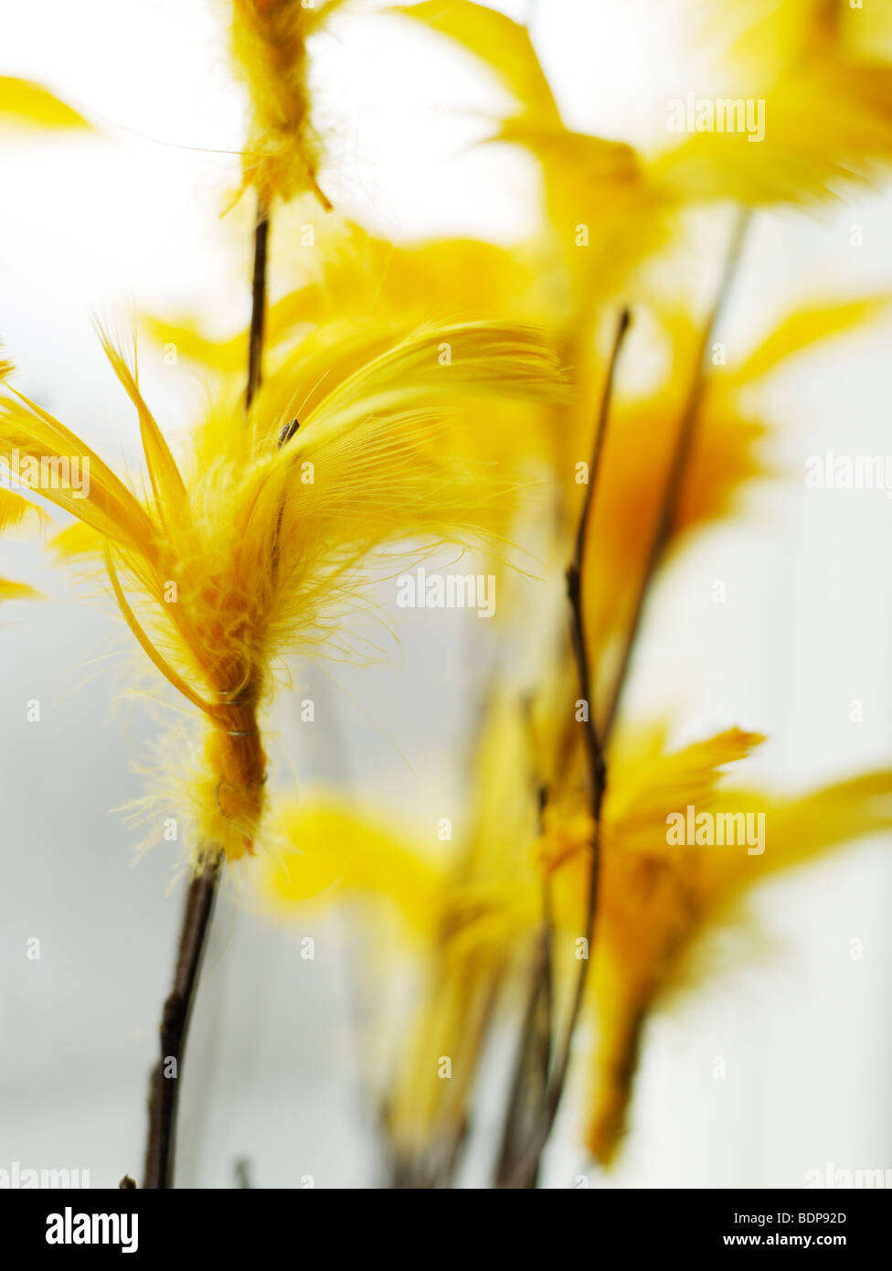 Twigs with coloured feathers Sweden Stock Photo - Alamy