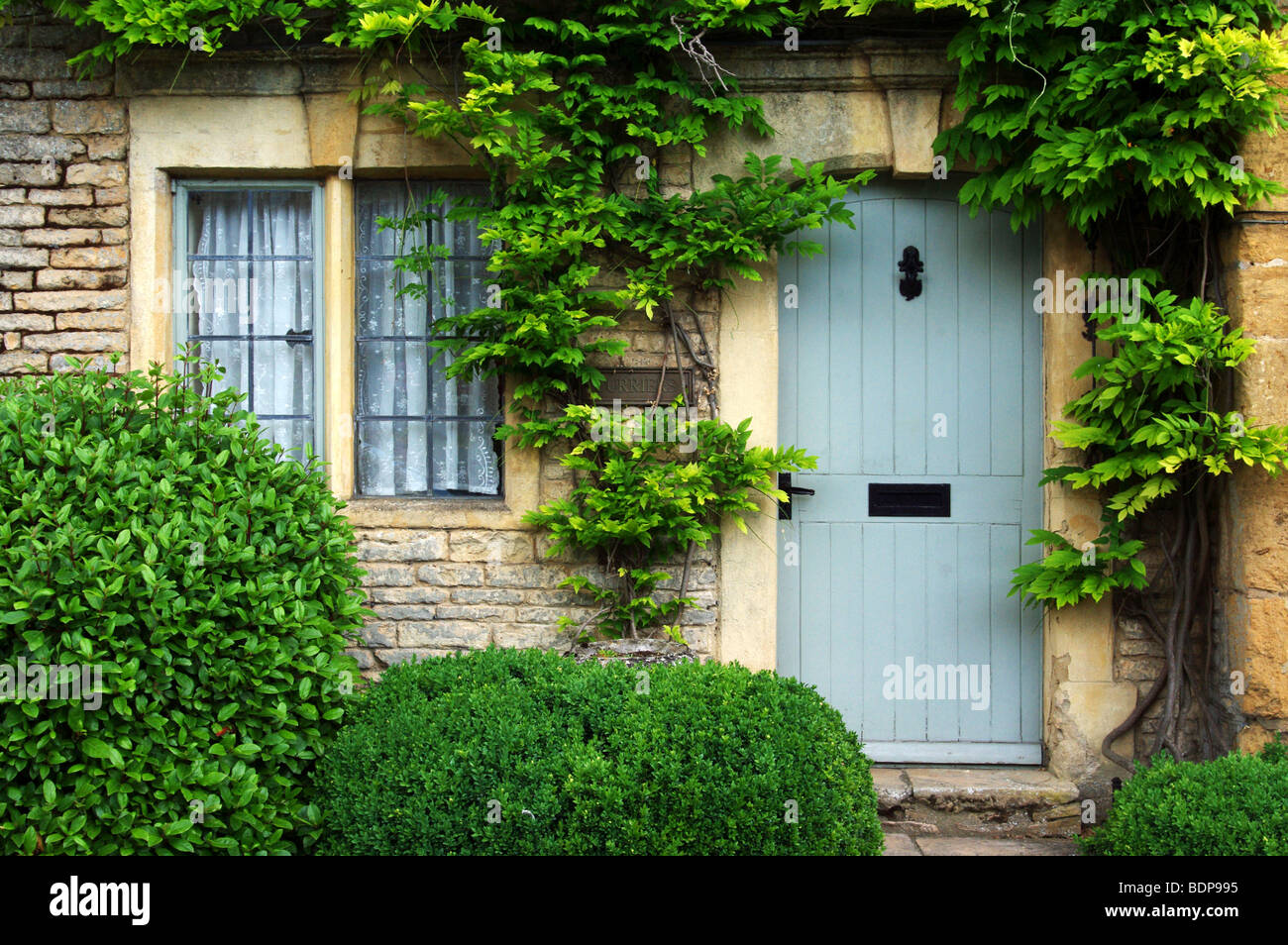 Creepers on cottage hi-res stock photography and images - Alamy