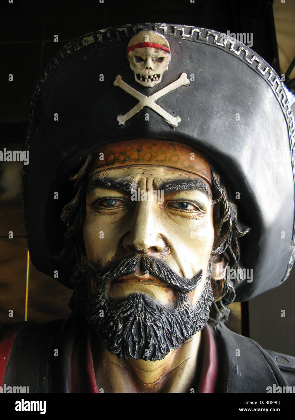 pirate captain model outdoors in sun Stock Photo - Alamy