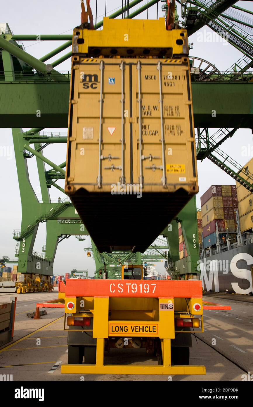 MSC Container box teu teus boxes truck crane lift Stock Photo - Alamy
