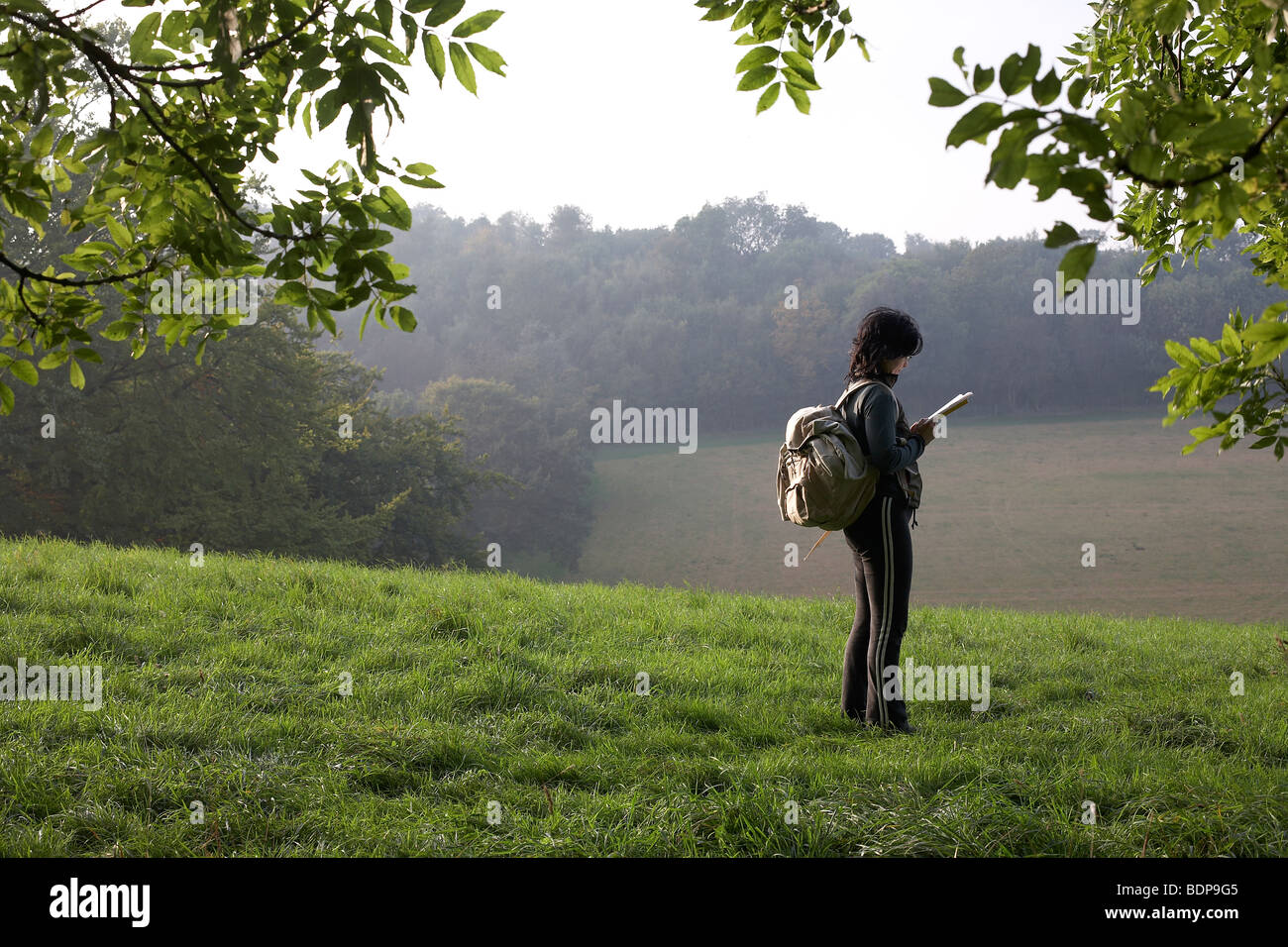rambler in countryside Stock Photo - Alamy