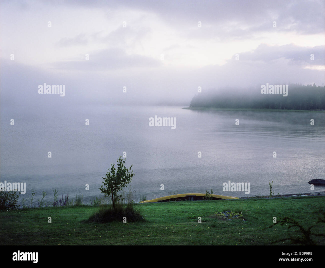 A hazy lake Sweden Stock Photo - Alamy