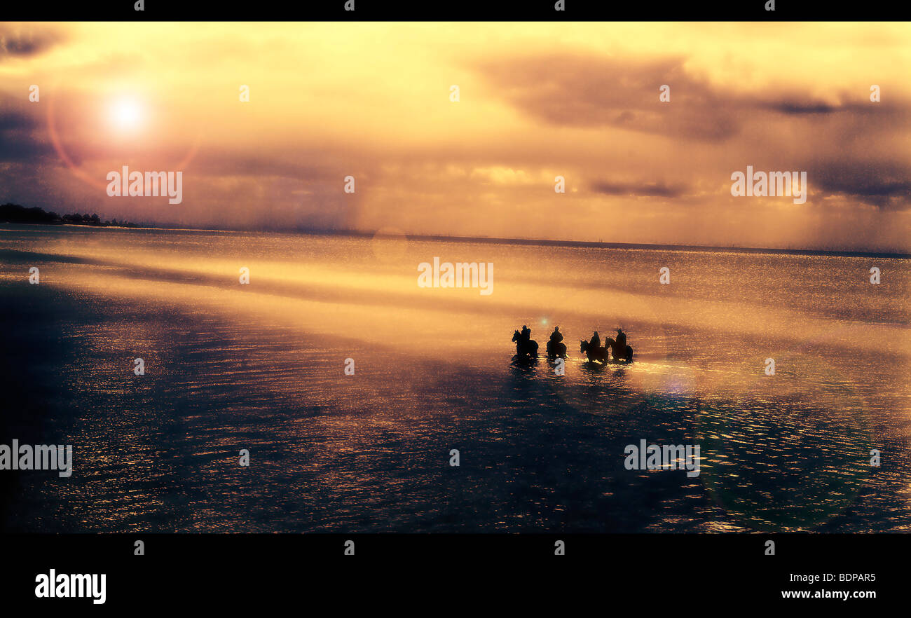 Riding horses at sunset hi-res stock photography and images - Alamy