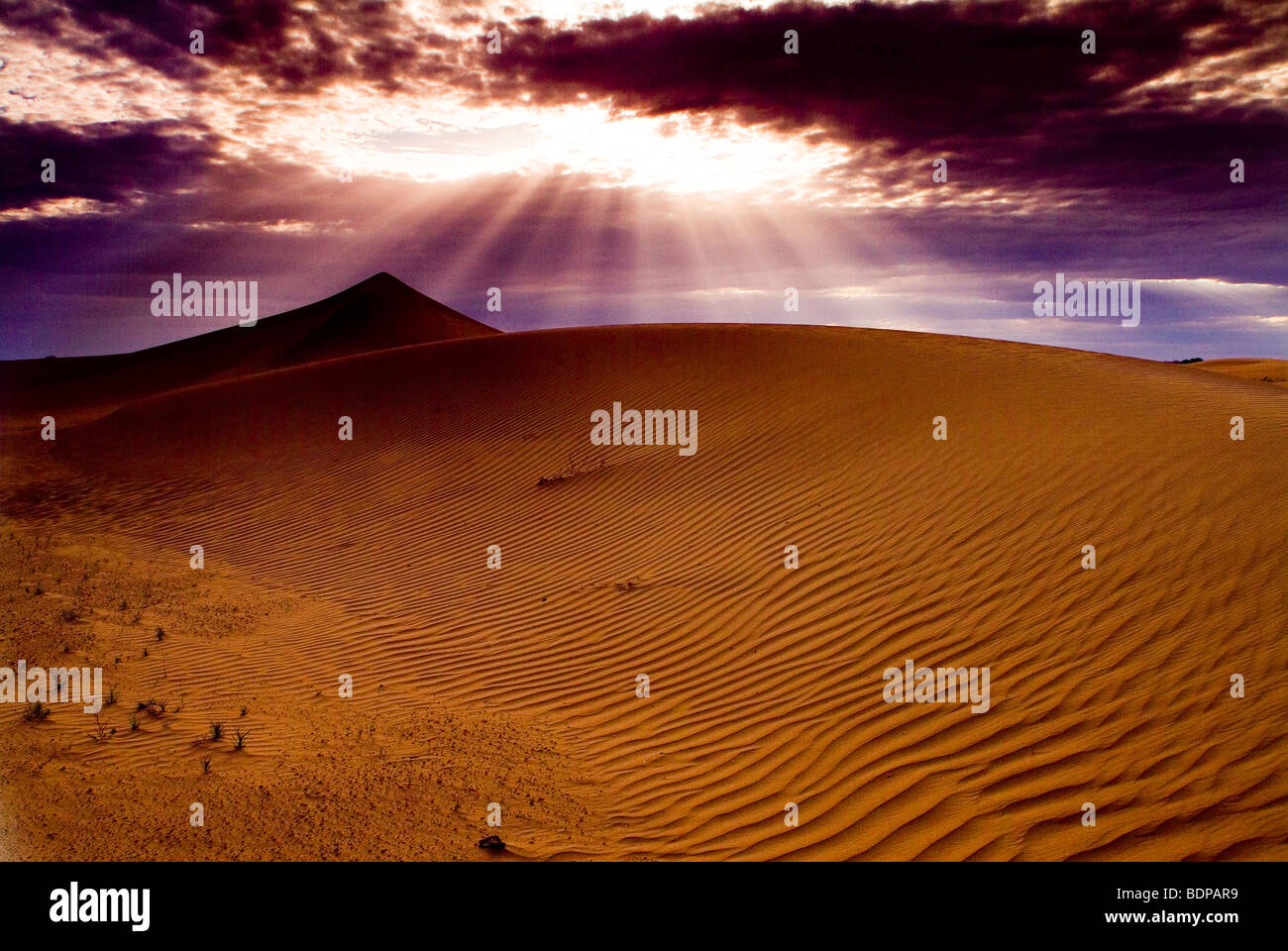 Sunlight shining on sea water hi-res stock photography and images - Alamy
