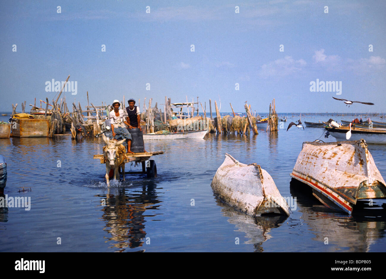 Gizan Saudi Arabia Fisherman Red Sea Stock Photo - Alamy