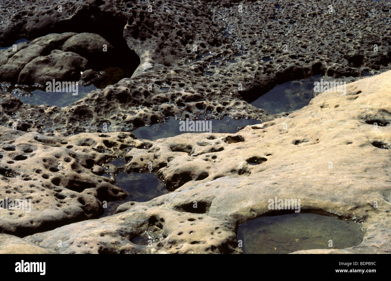 Yehliu Geopark Wanli District Taiwan Taiwan Rock Pools In Hollowed Out ...