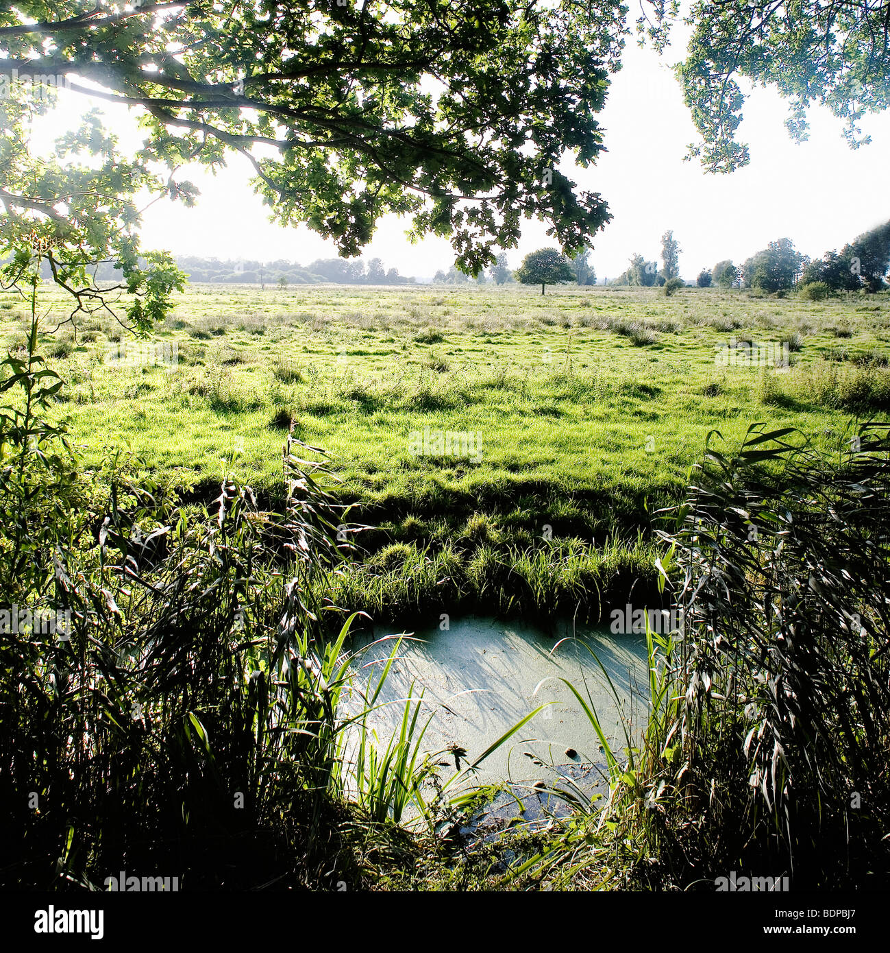 rural scene of suffolk Stock Photo - Alamy