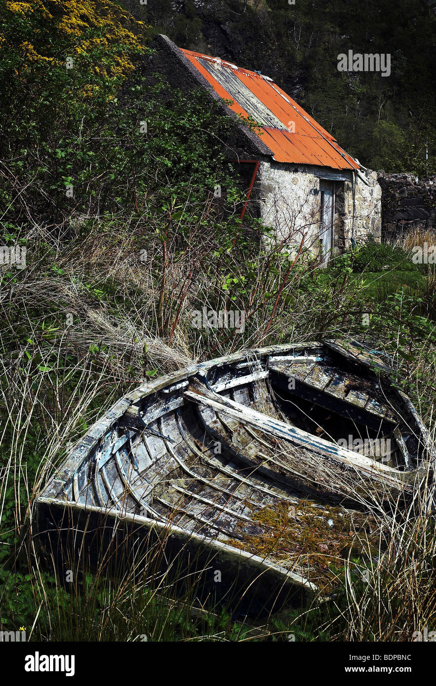 An old rowing boat in long grass near an outbuilding with a tin roof ...