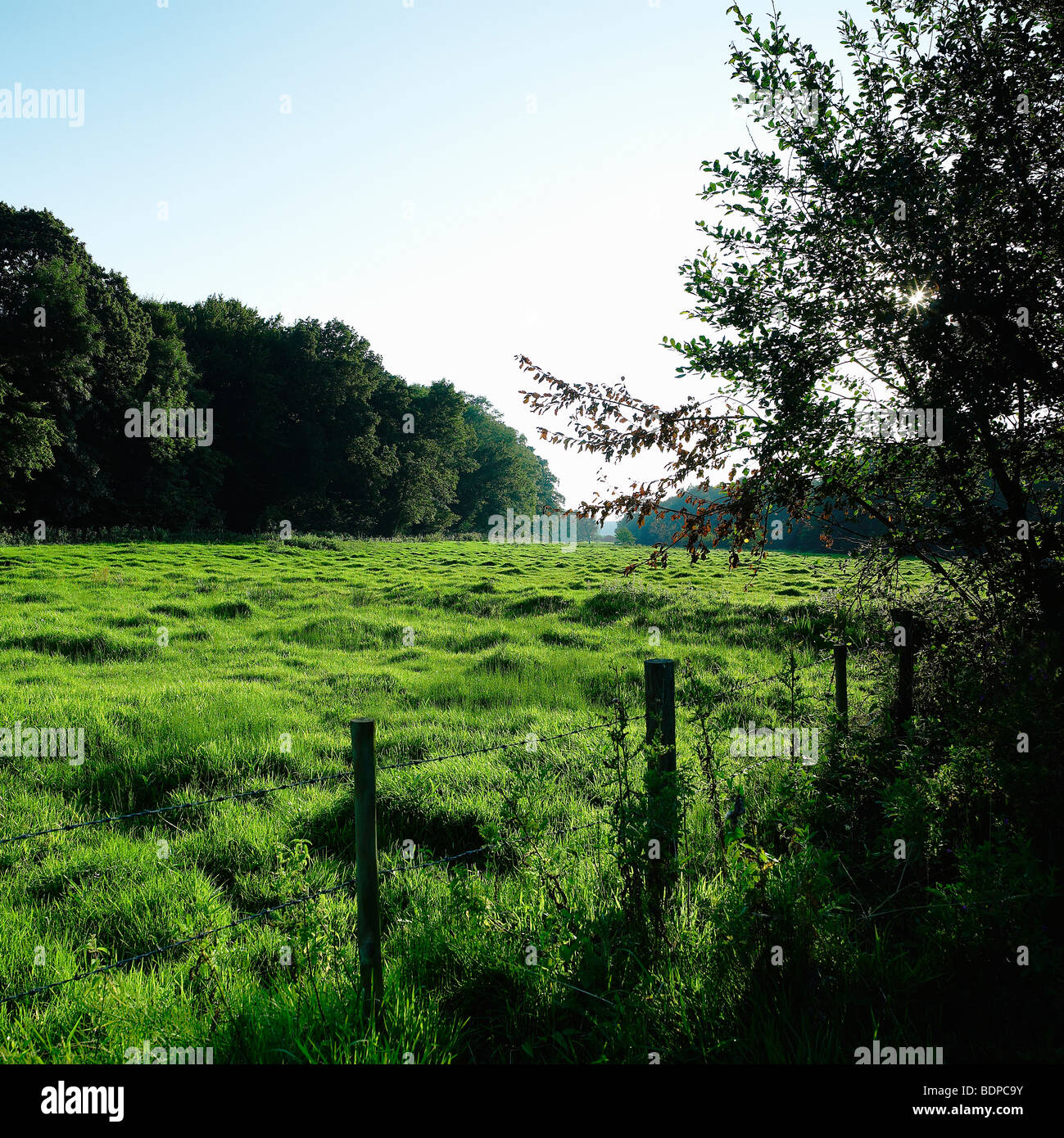 rural scene of suffolk Stock Photo - Alamy