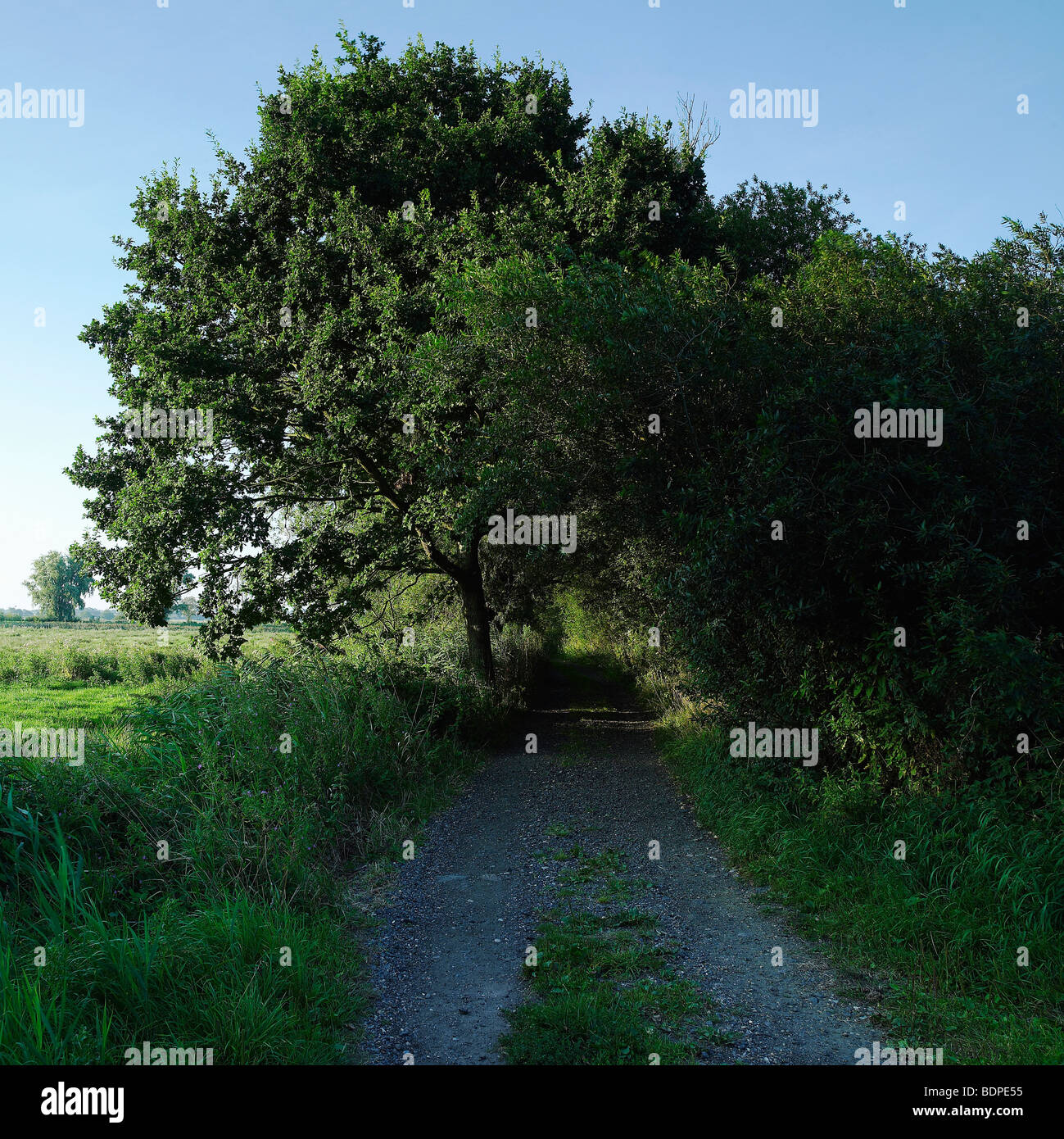 rural scene of suffolk Stock Photo - Alamy