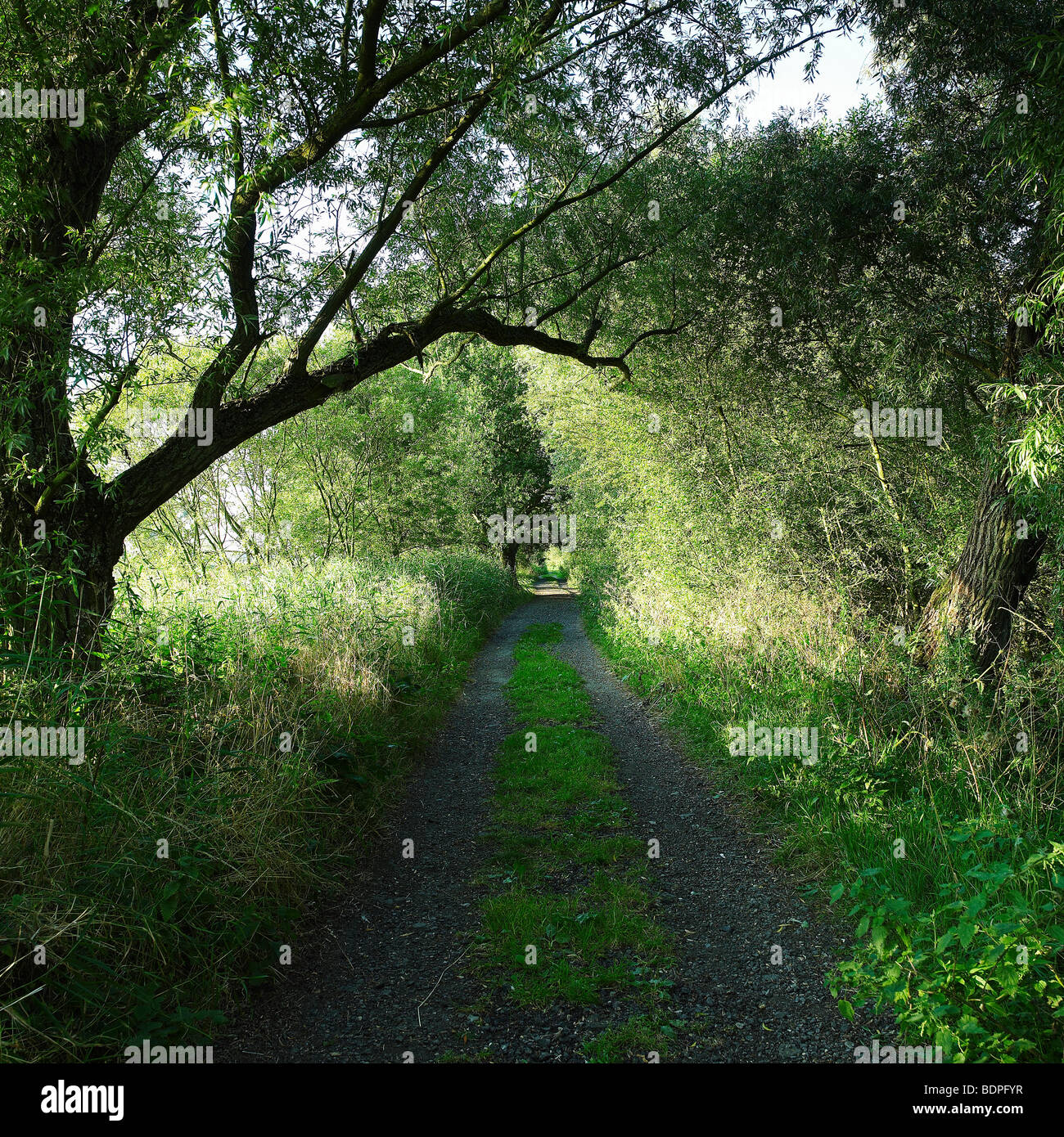 rural scene of suffolk Stock Photo - Alamy