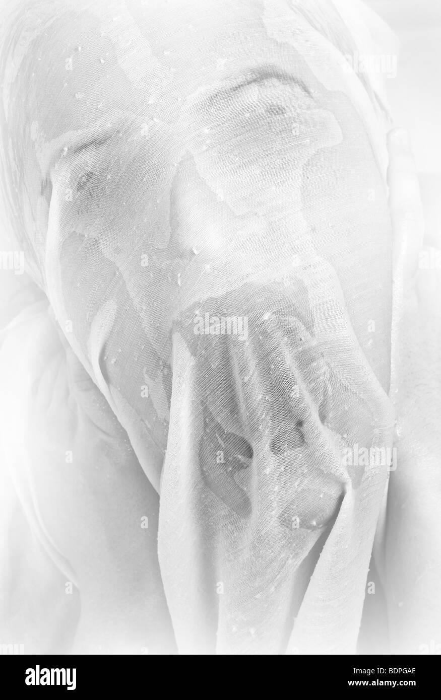 Pale face headshot High Resolution Stock Photography and Images - Alamy