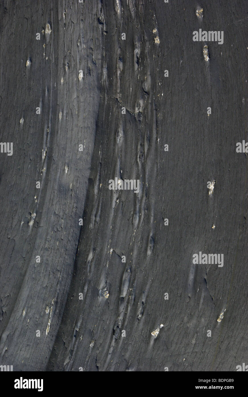 Sea worn beach rocks Stock Photo - Alamy