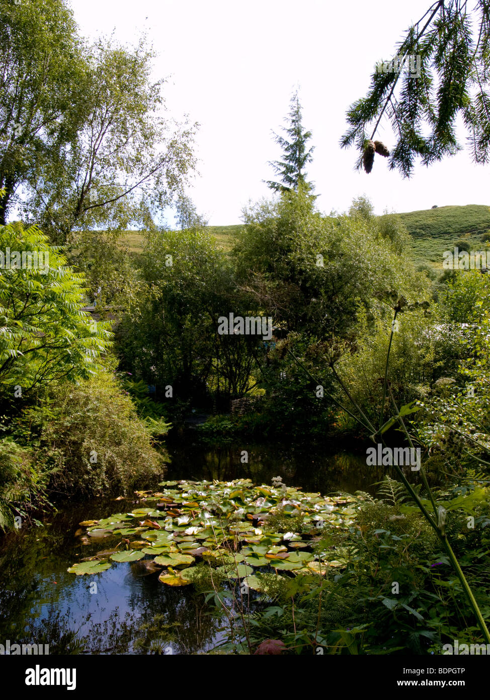 Centre for alternative technology wales hi-res stock photography and ...