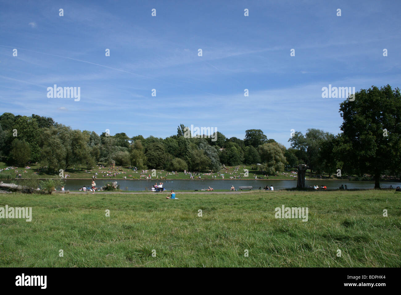 Hampstead Heath / Highgate Ponds Stock Photo - Alamy