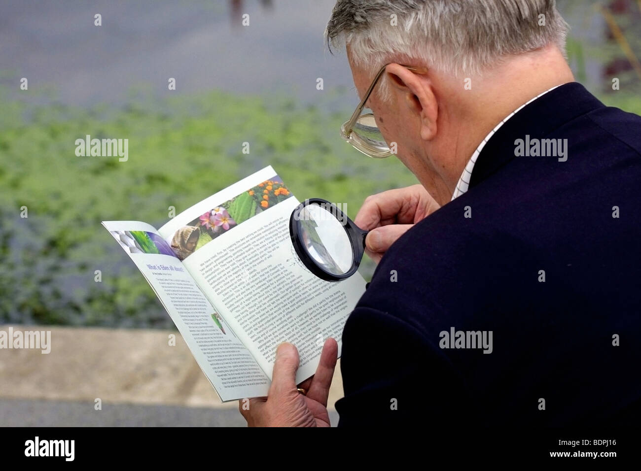 Old man using magnifying glass hi-res stock photography and images - Alamy