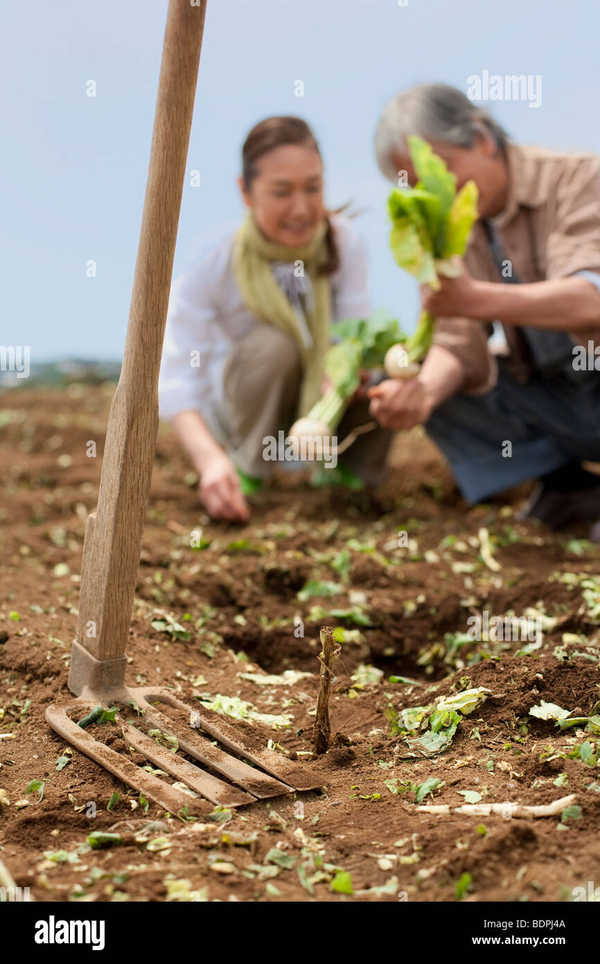 Hoe wife hi-res stock photography and images - Alamy