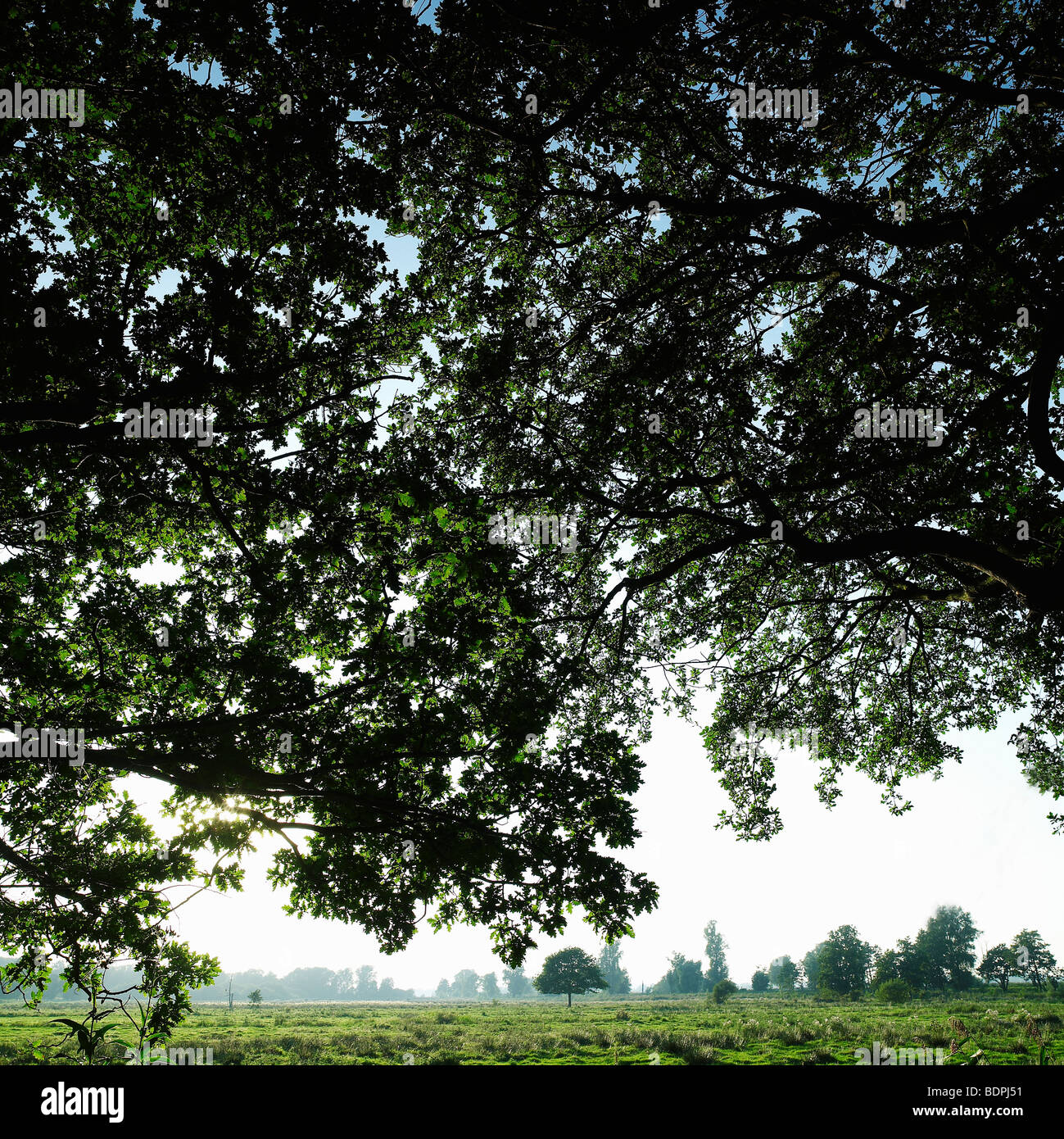 rural scene of suffolk Stock Photo - Alamy