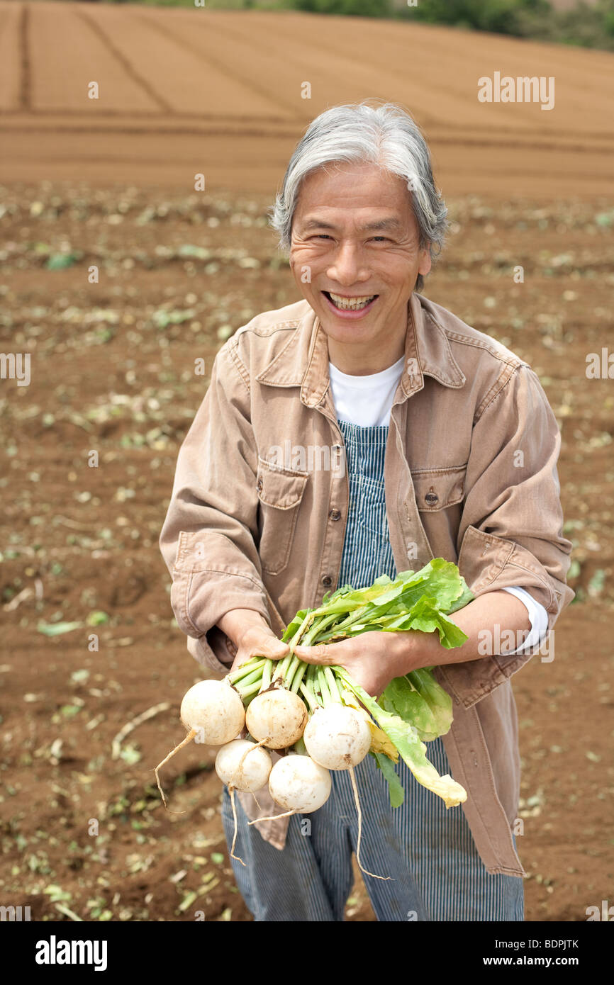 Turnip field hi-res stock photography and images - Alamy