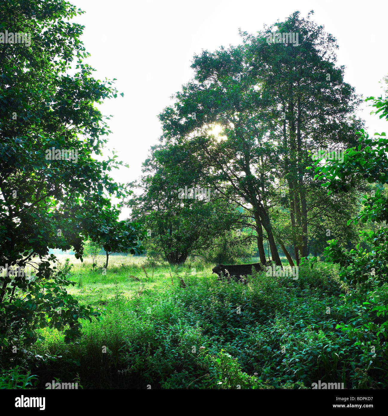 rural scene of suffolk Stock Photo - Alamy