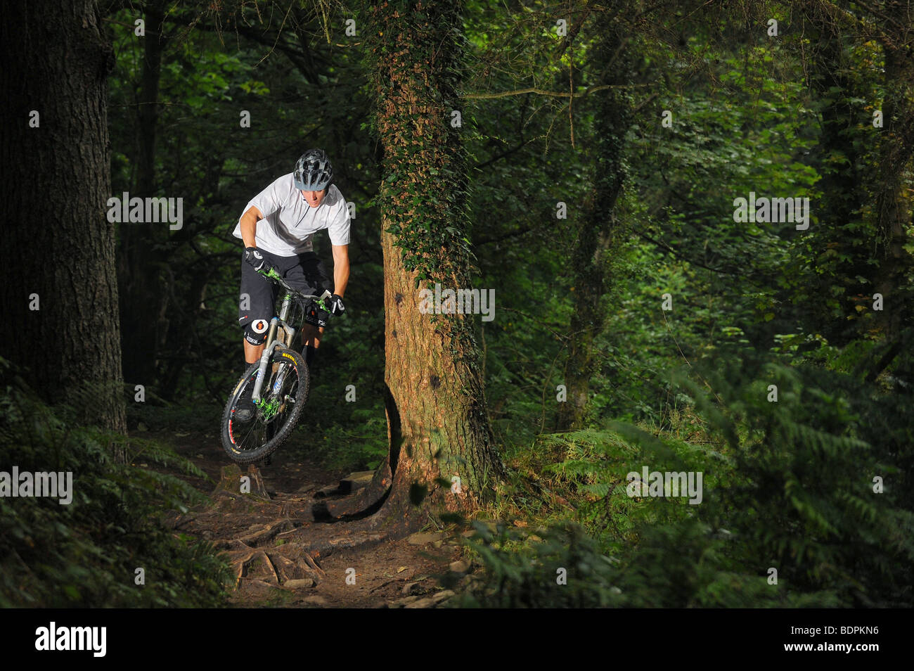 Cwmcarn bike trail hi-res stock photography and images - Alamy