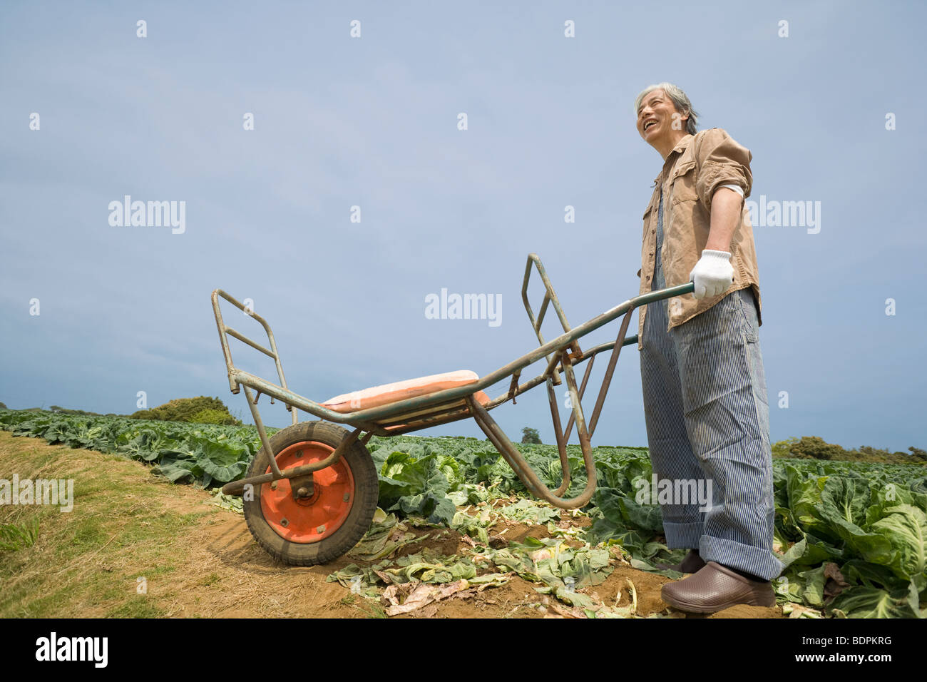 Senior man holding wheelbarrow Stock Photo - Alamy