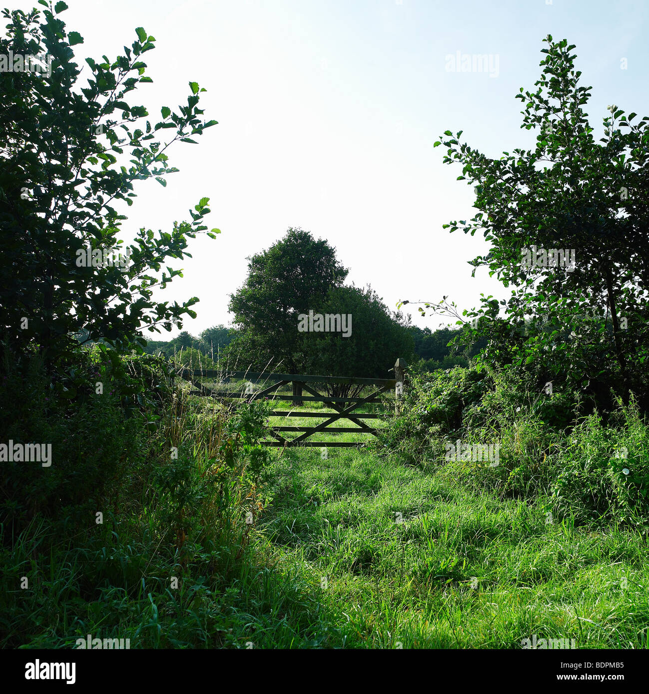 rural scene of suffolk Stock Photo - Alamy