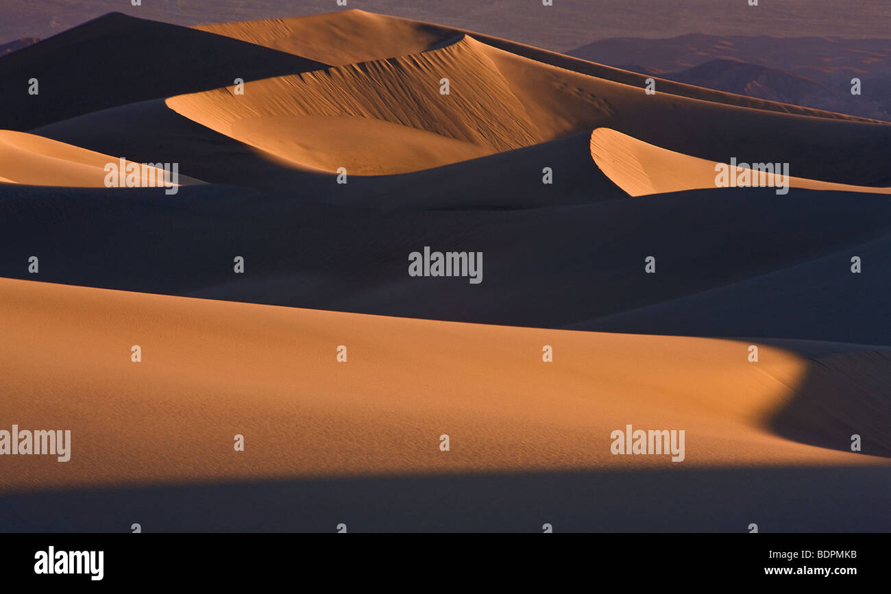 Sweltering desert environment hi-res stock photography and images - Alamy