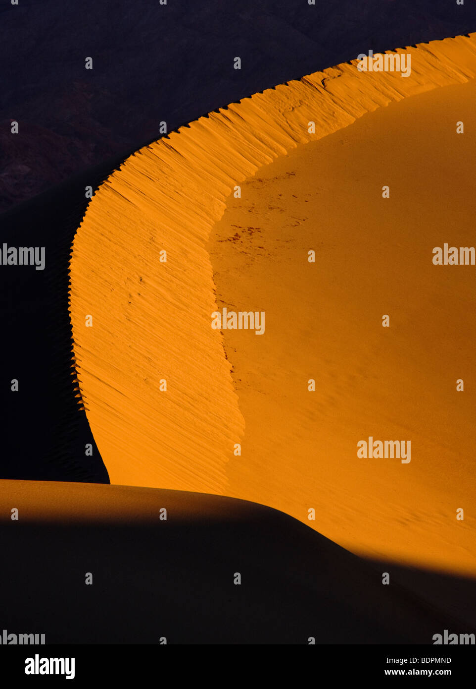 Sweltering desert environment hi-res stock photography and images - Alamy