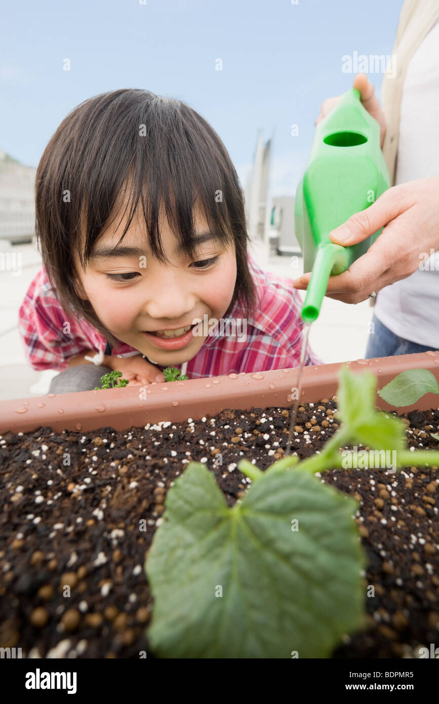 Boy looking plant Stock Photo - Alamy