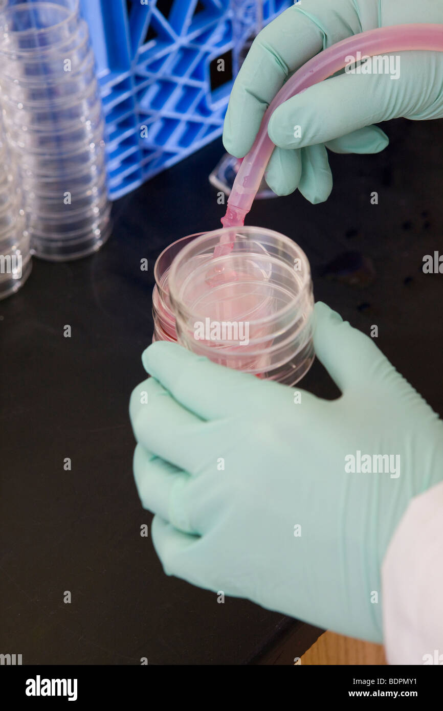 Sample dishes hi-res stock photography and images - Alamy